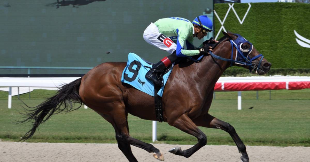 Antonio Sano cierra la semana con dos victorias en Gulfstream Park