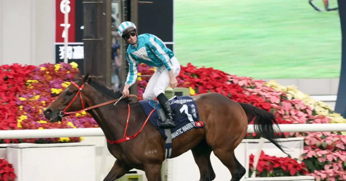 El mejor caballo del mundo fue sometido a una operación por este detalle