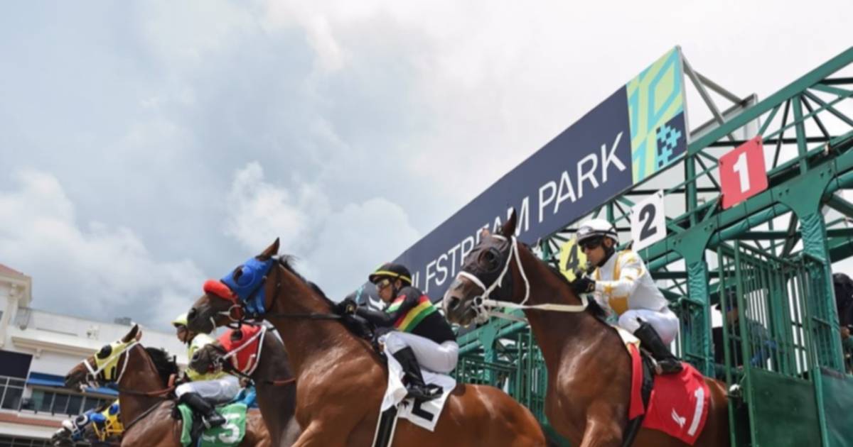 Yoqueta venezolana debuta en Gulfstream Park