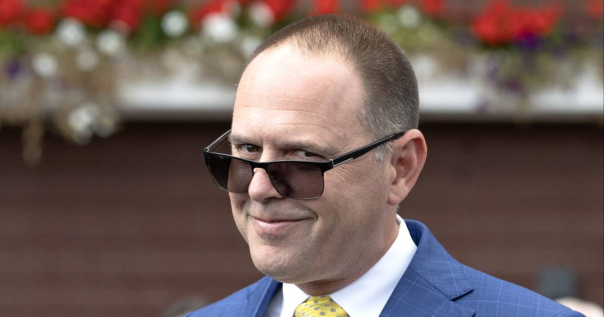 Chad Brown busca ampliar su leyenda en el Gallorette Stakes (G3) en ...