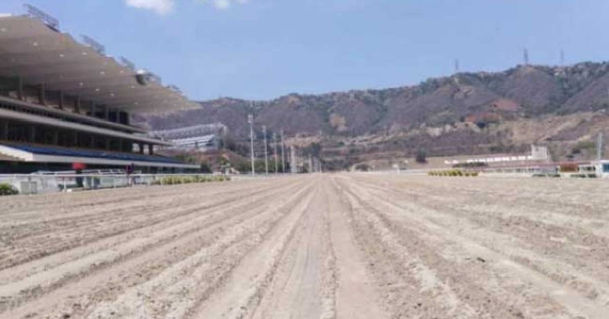 En vivo: Carreras de La Rinconada