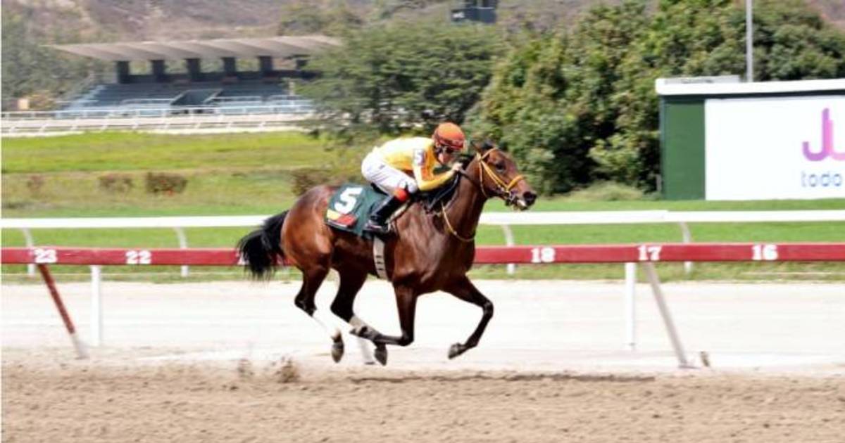 Sylvanella galopó el Clásico Ana María Freudman en La Rinconada