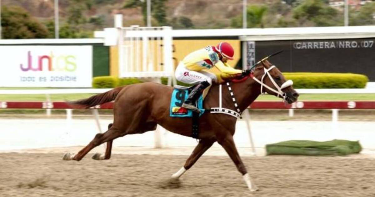 Suanfonson ahora defenderá los colores del Stud MM en La Rinconada
