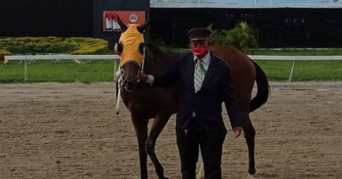 Refinada sorprende en el Clásico Money River