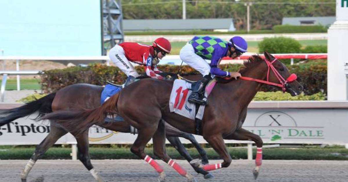Leonel Reyes conquista cuatro victorias en Gulfstream Park