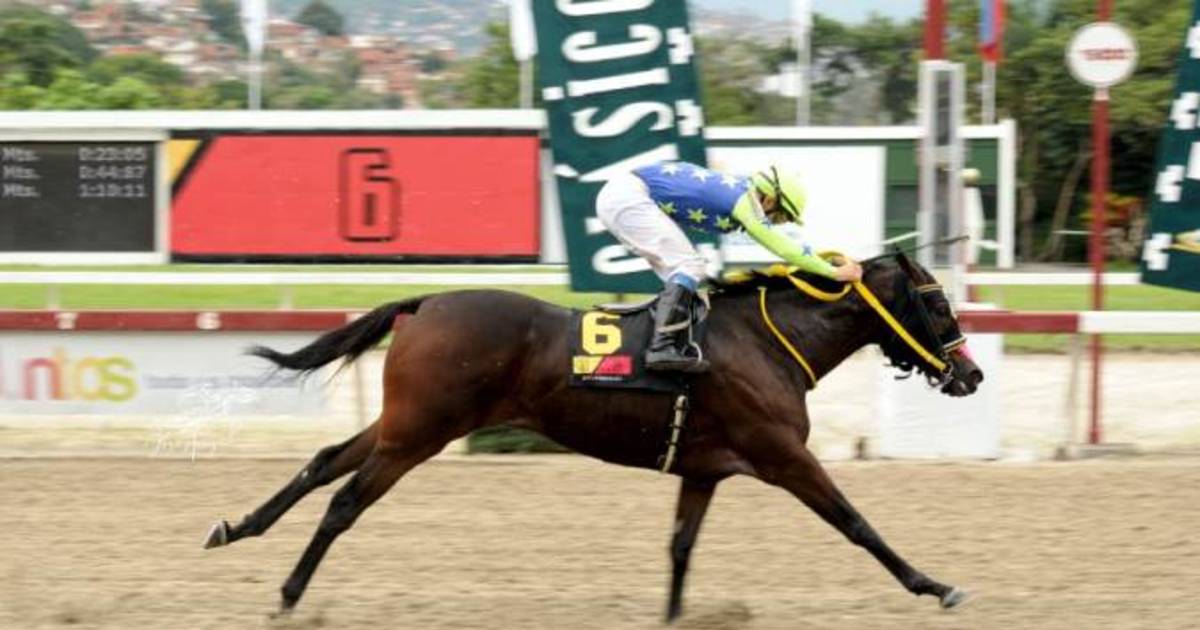 Brave Yole las durmió en el Clásico Ezequiel Zamora de La Rinconada