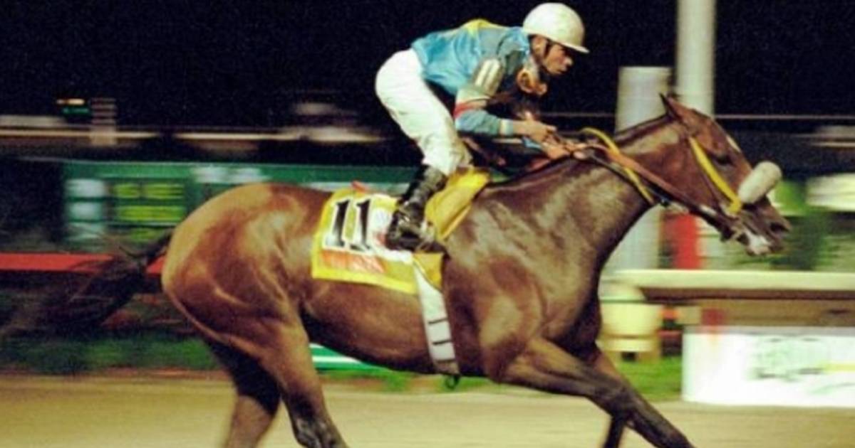 Estos son los ejemplares que han ganado el Clásico Internacional del Caribe en toda su historia