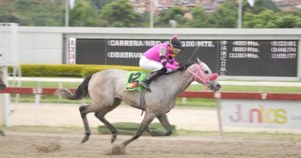 Descubre cuál es el rol de Queen Evony en el hipódromo La Rinconada