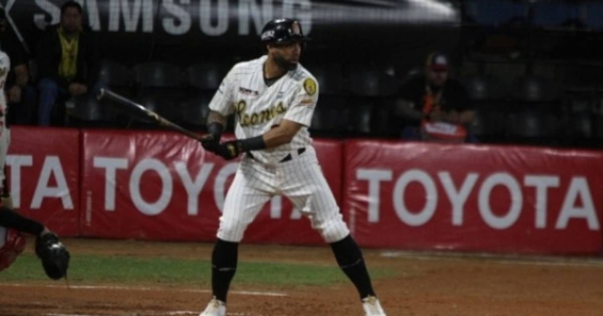LVBP: Ali Castillo la bujía ofensiva de los Leones del Caracas en el ...