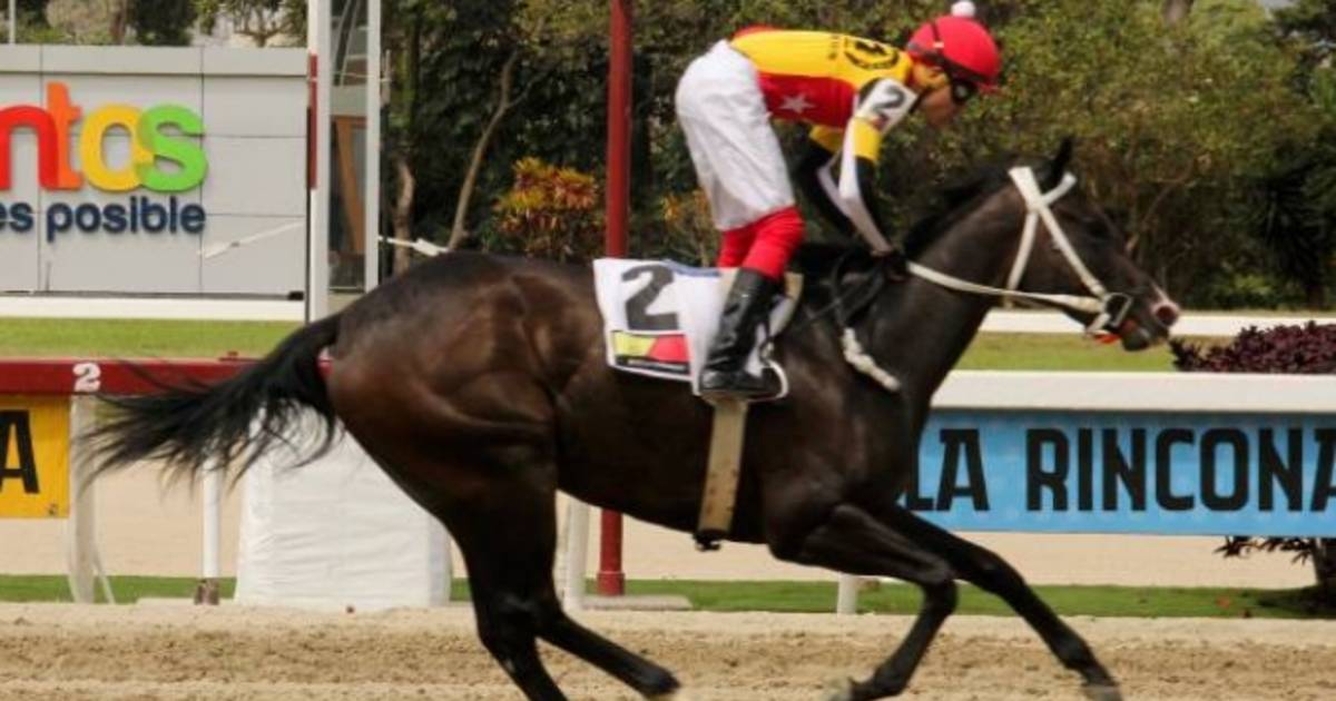 Fast Sensations no tuvo piedad con sus rivales en el Ana María Freudman