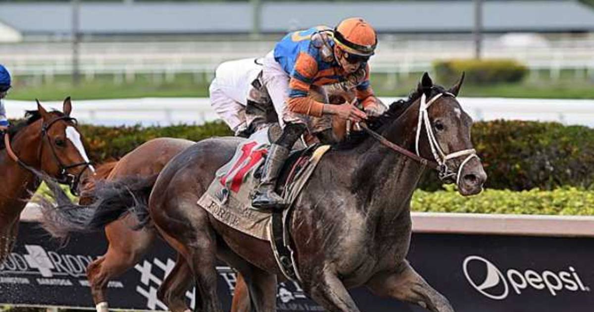 Forte se luce con la victoria en el Florida Derby y por la pantalla de ...