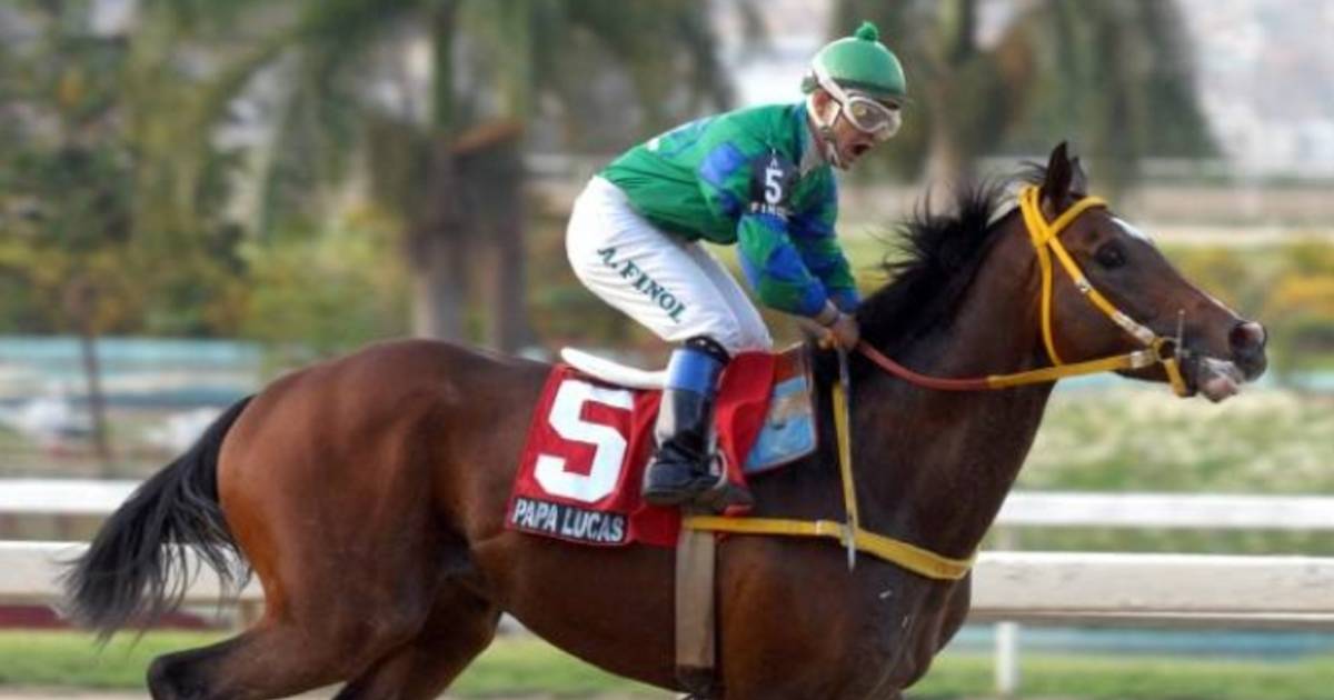 ¿Cuántos caballos han ganado dos o más veces el Clásico Presidente de ...