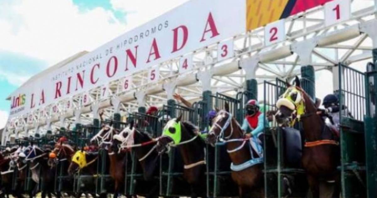 Conoce el ajuste de este ejemplar previo a su debut el domingo en La ...