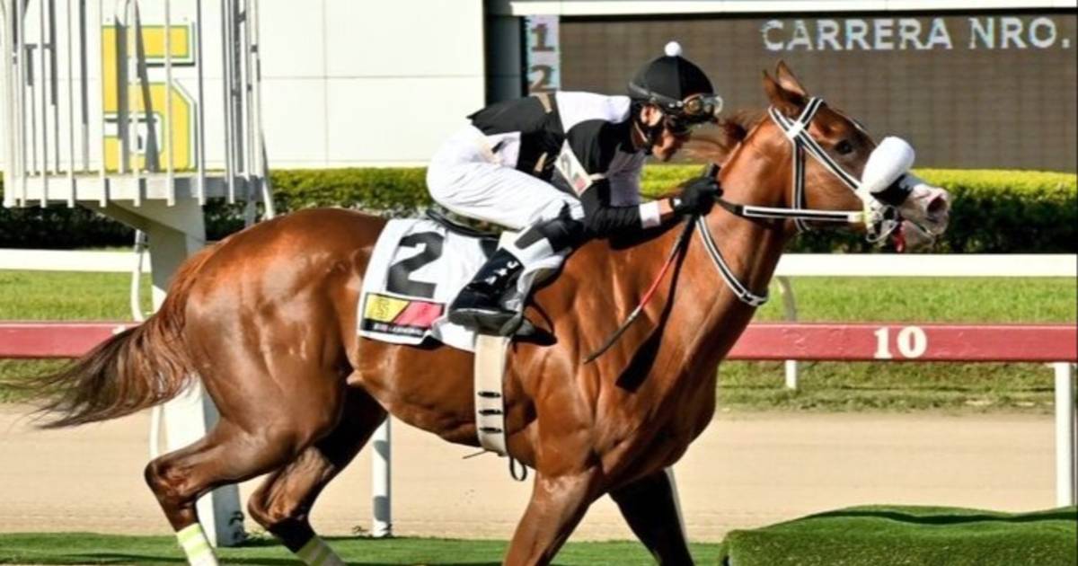 Muere una de las mejores potras de tres años de La Rinconada