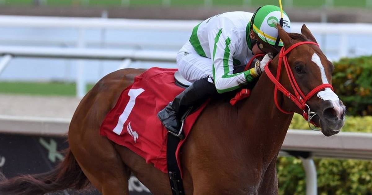 Mira el tiempo que tenía Iván Pimentel Jr. sin ganar en Estados Unidos