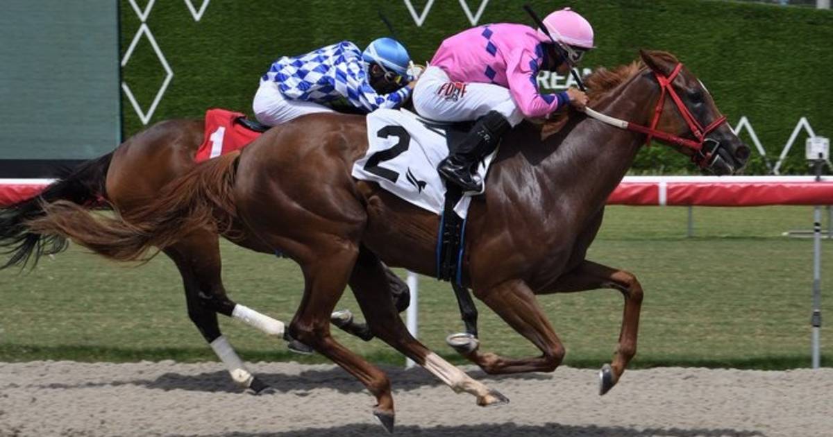 Leonel Reyes triplica y Jaramillo duplica en tarde de triunfos para ...