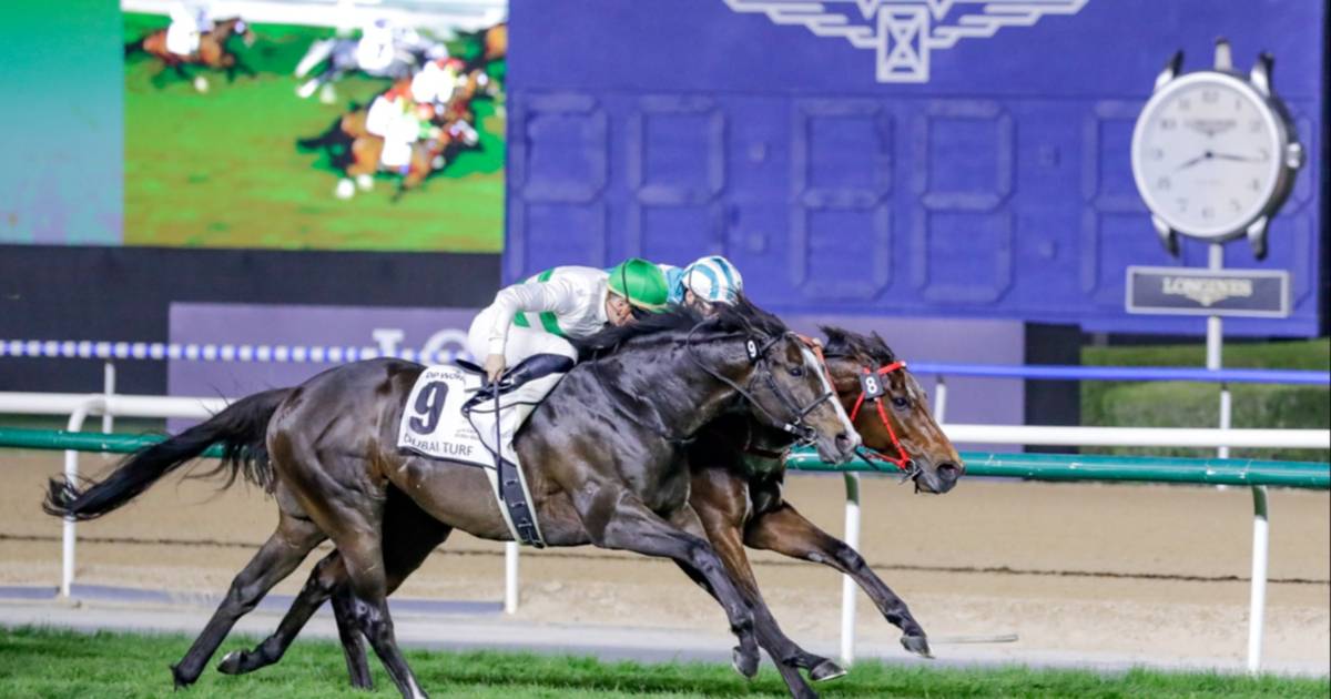 Soul Rush regresa luego de vencer a Romantic Warrior en la Dubai World ...