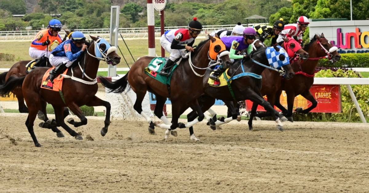 Una oportunidad de oro: Caballo que no gana desde hace un año viene con ...