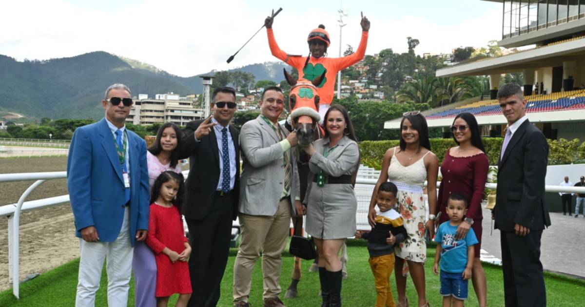 Hay una yunta que debe ser tomada en cuenta en La Rinconada a la hora ...