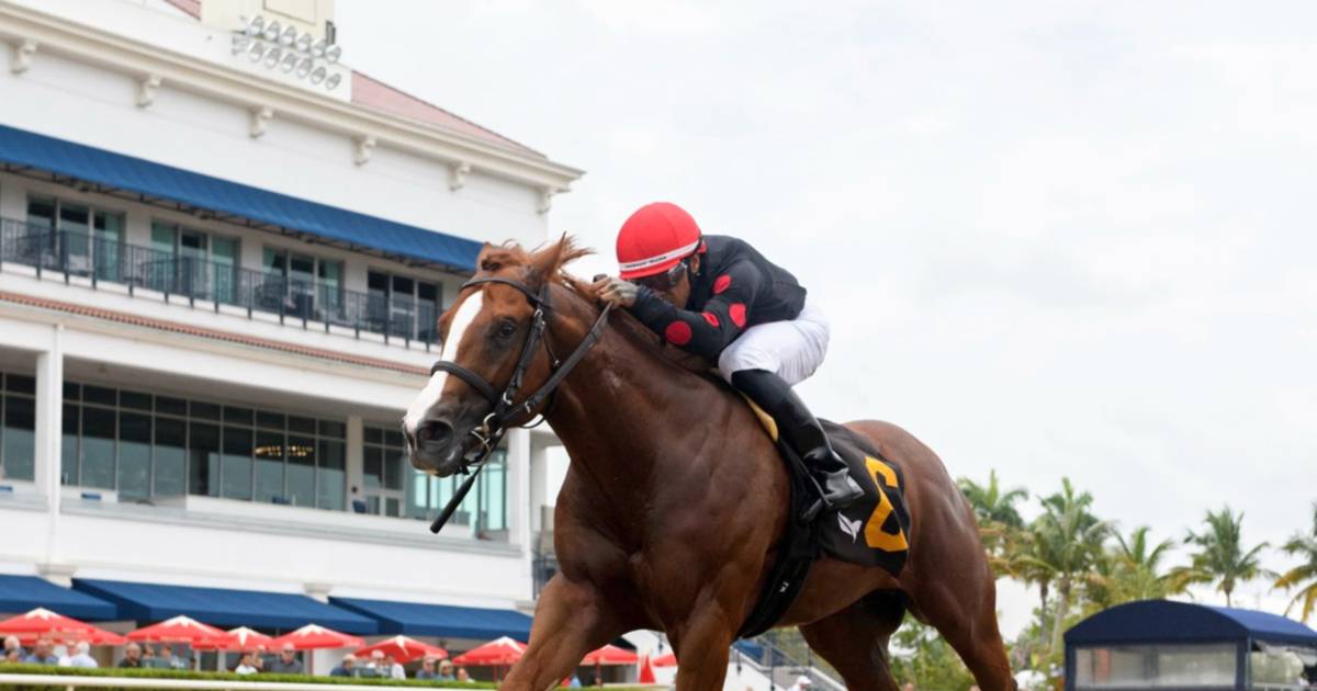 Marcos Meneses llegó y pasó las 500 victorias de por vida en Estados Unidos