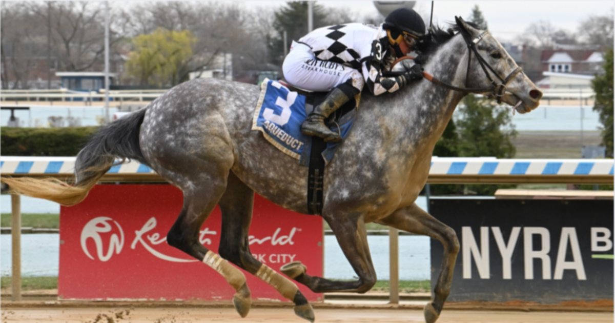 Javier Castellano gana el Cupecoy’s Joy Division Stakes con la invicta ...