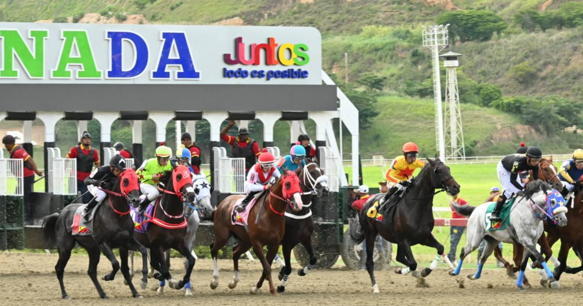 Nueva sanción en La Rinconada: Suspenden a jinete profesional por este ...