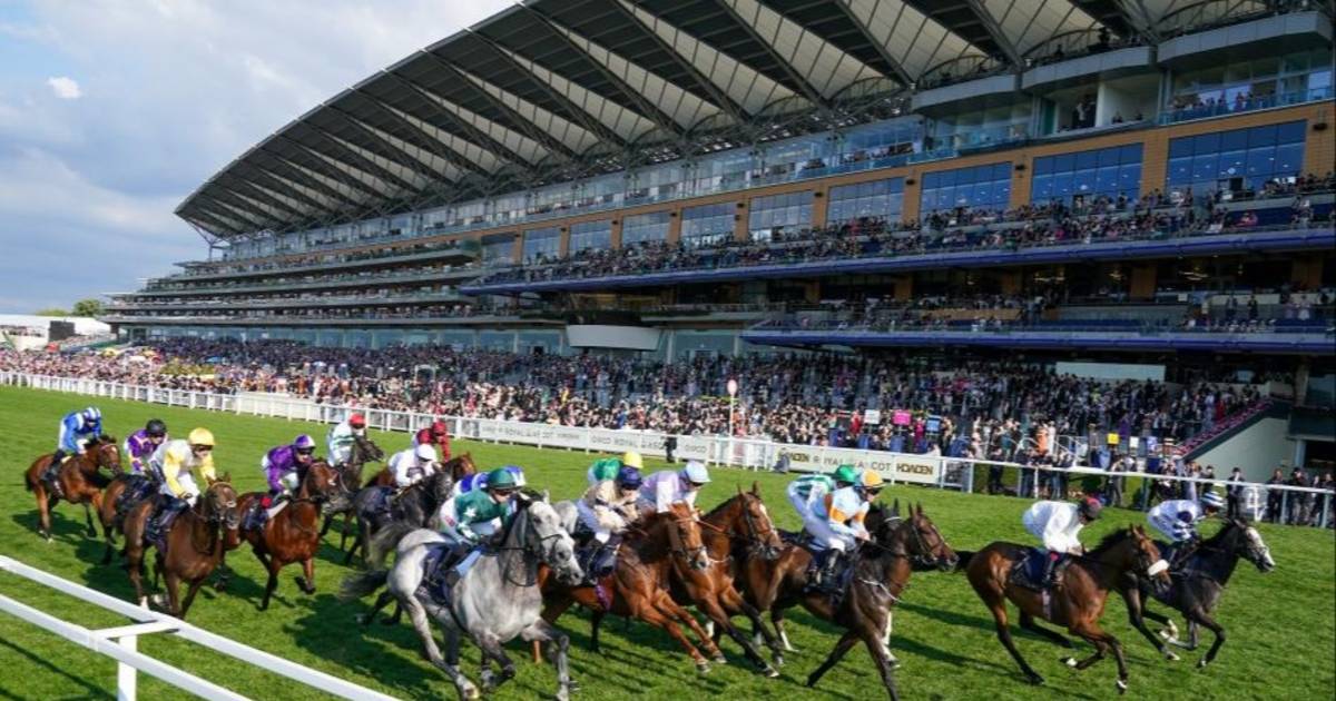 Te sorprenderás: Campeón jinete de Santa Anita cuenta con tres montas ...