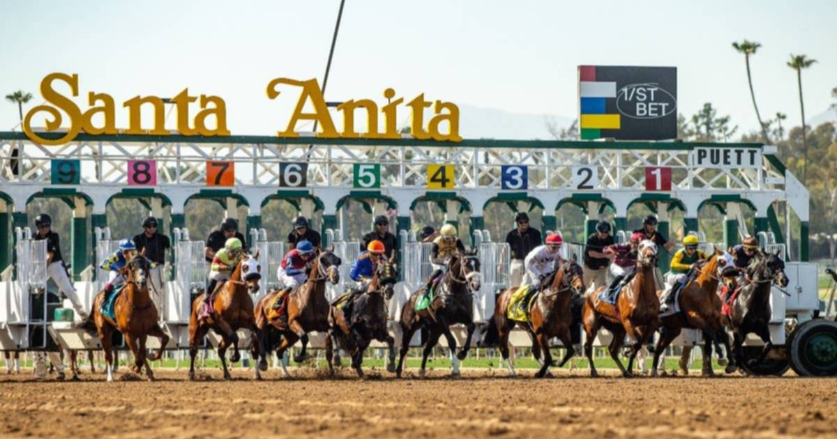 De YouTube a las pistas: El potro Mr Beast deslumbró en Santa Anita Park
