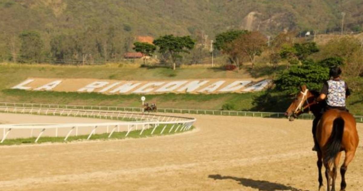 Estos fueron los entrenadores más destacados en la reunión 22 de La ...