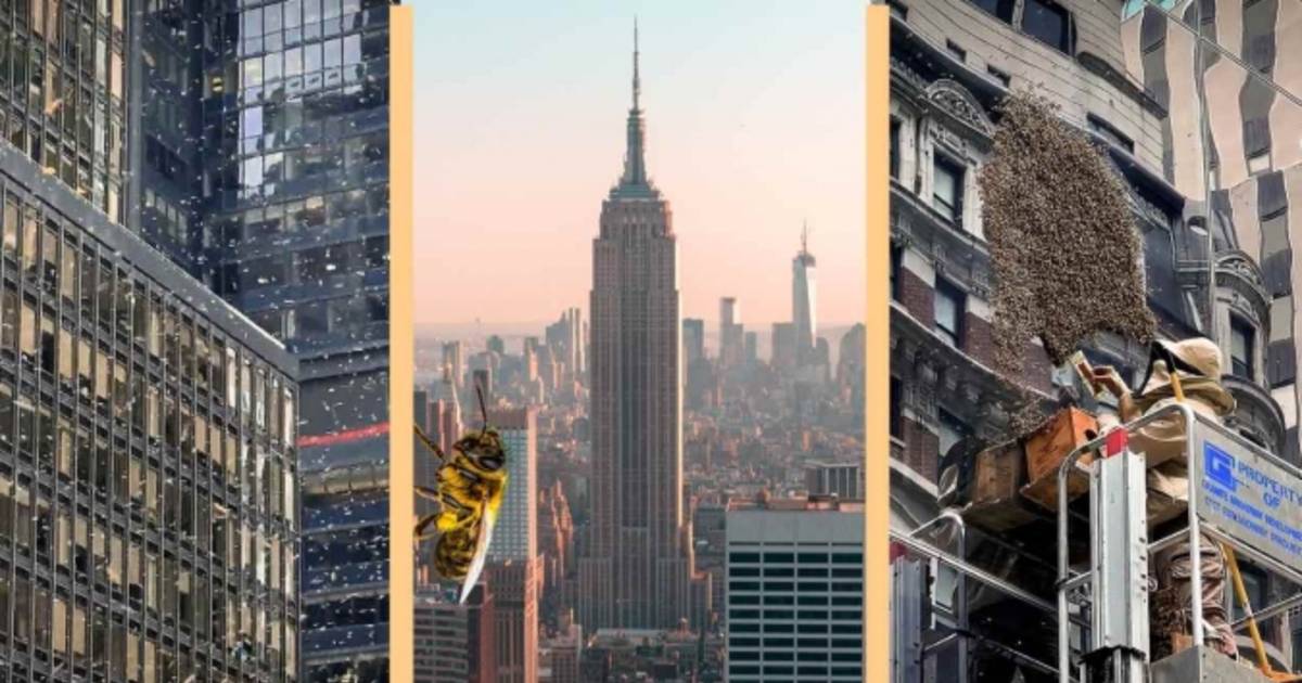 Alarmante: Un enjambre de abejas causó pánico en Nueva York (+ Video)