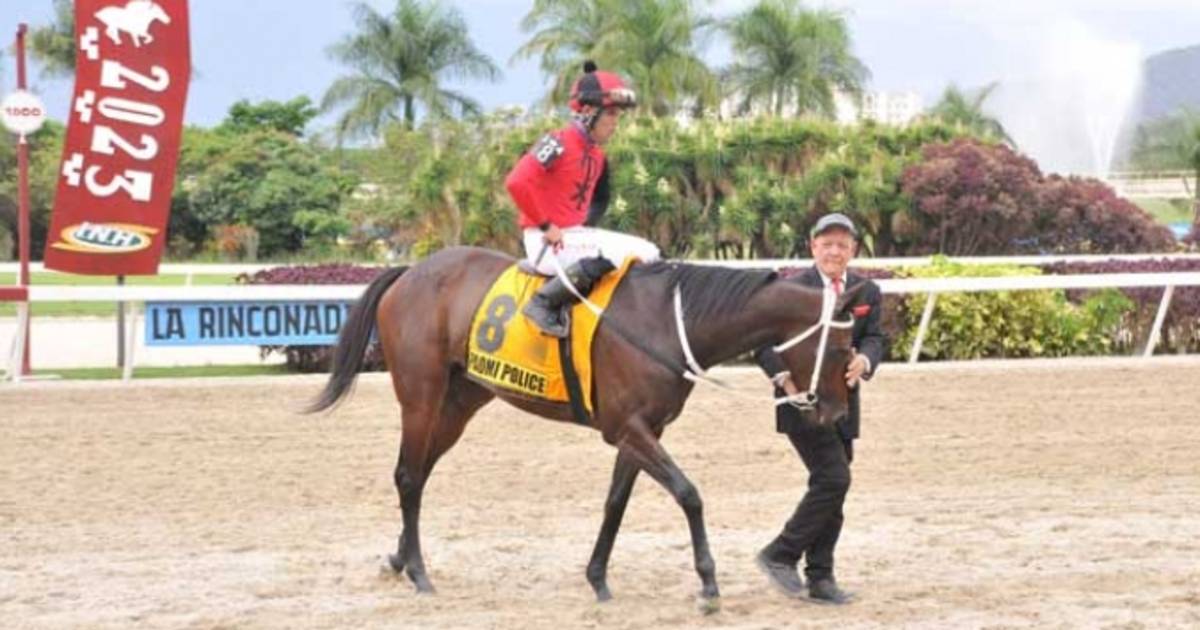 Conozca el ajuste extraordinario de Paomi Police previa a su ...