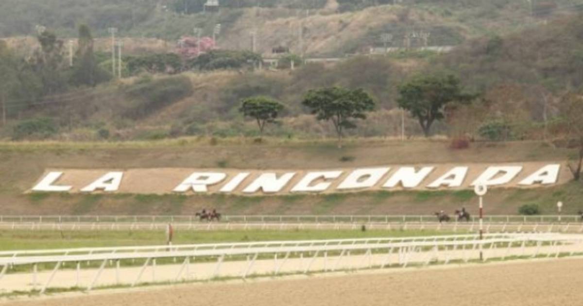 Mira como ajusta esta yegua que es el robo de muchos en La Rinconada