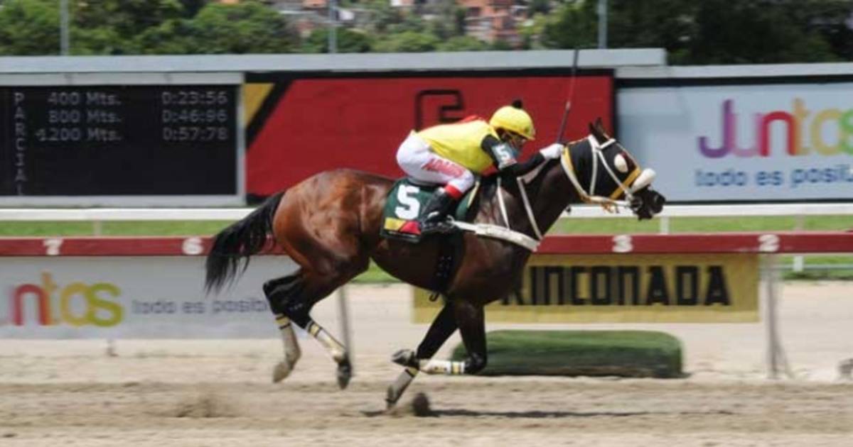 Mira qué ejemplar de José Gregorio Rodríguez regresa a La Rinconada ...