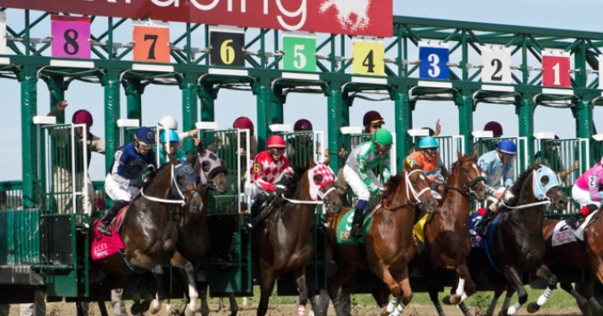 Datos de Última Hora para Parx Racing 13-12-2023