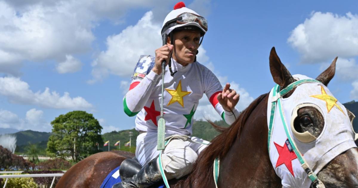 Mira lo que informó a los comisarios el jinete José Gilberto Hernández ...