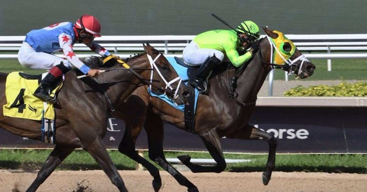 Esta es la única yunta venezolana que ganó este domingo en Gulfstream Park
