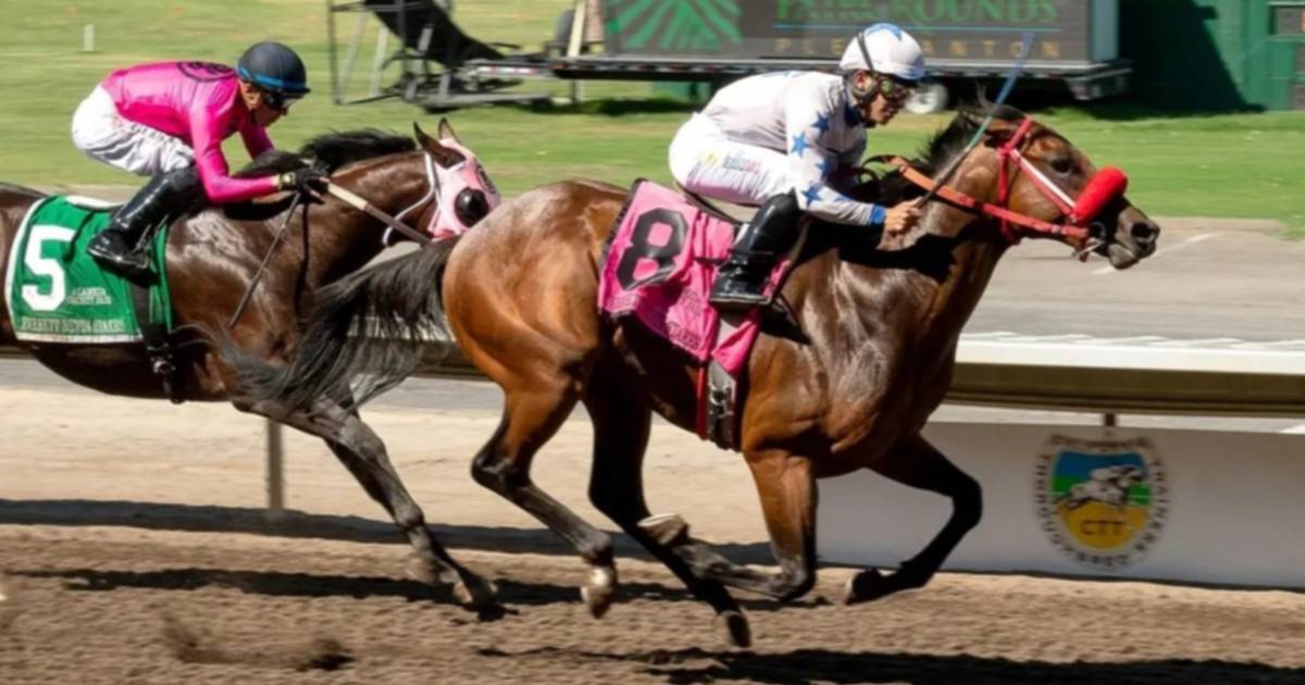 Adrián Castellanos habla para Meridiano luego de ganar su primer ...