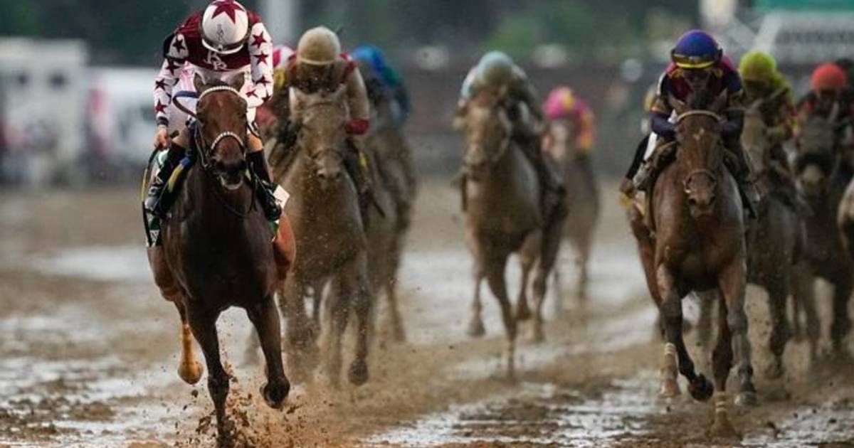 Thorpedo Anna va a revancha en Grado 1 contra la única potra que la derrotó