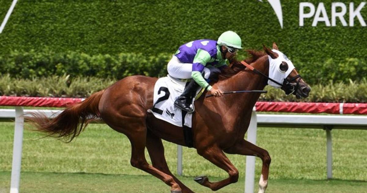 Leonel Reyes es el más destacado del domingo en Gulfstream Park