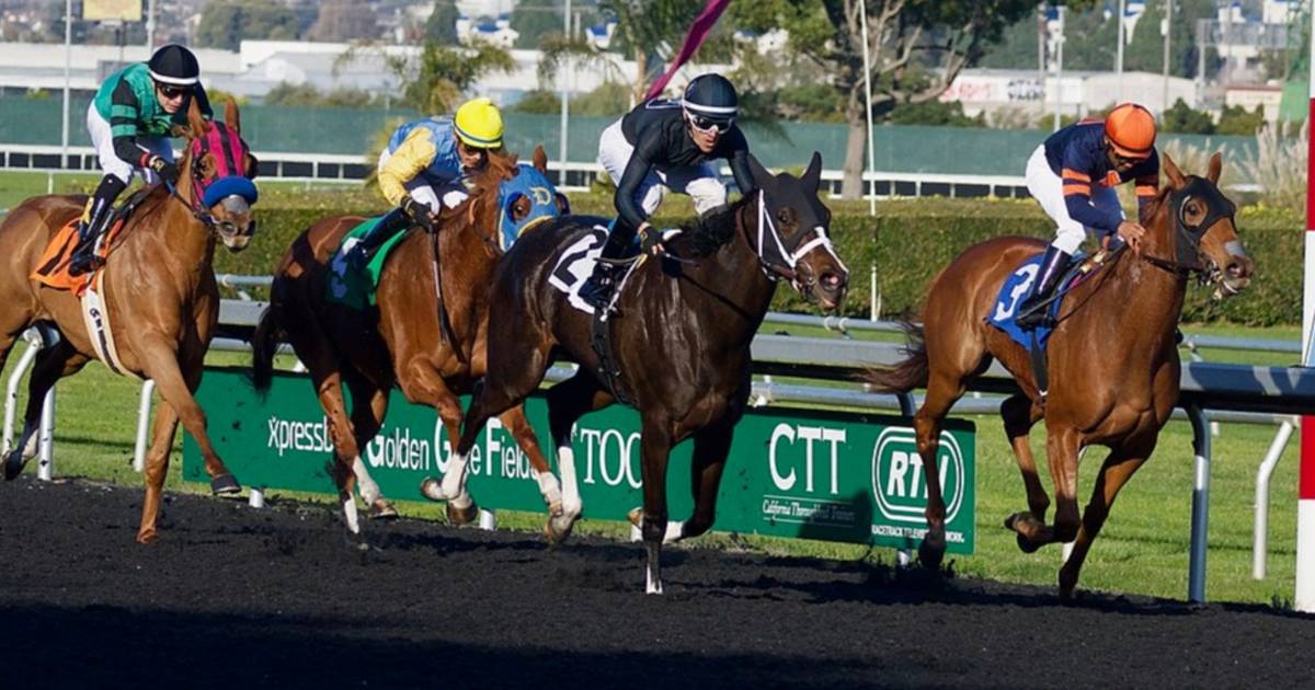 Adrián Castellanos gana sus primeras carreras en este meeting de ...