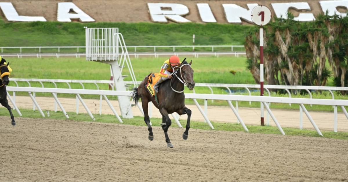 Mira el excelente ajuste de Magith en La Rinconada