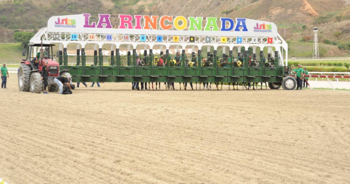 Conoce el ajuste de este ejemplar previo a su debut el domingo en La ...