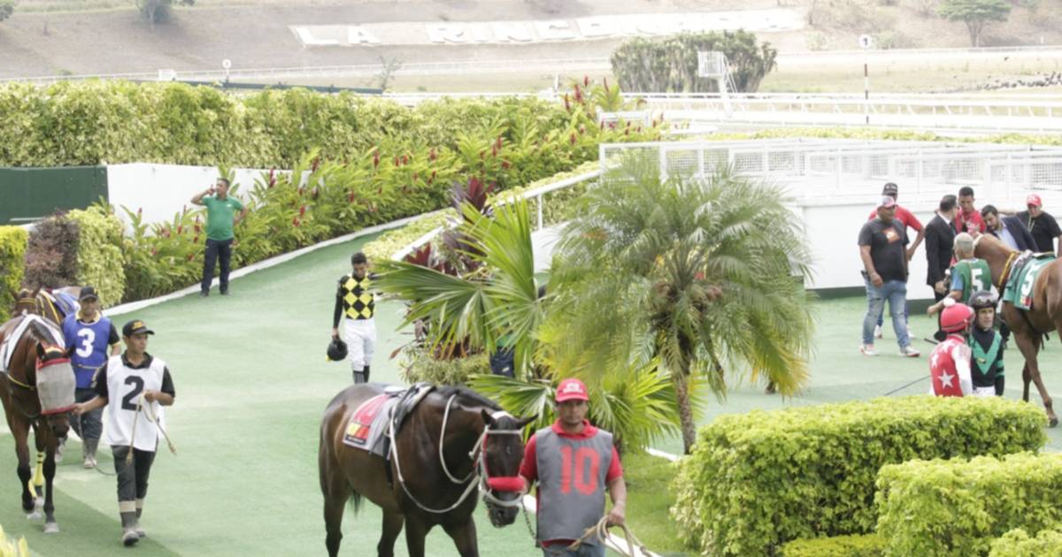 Estos son los ejemplares con más fuerza para la reunión 28 en La Rinconada