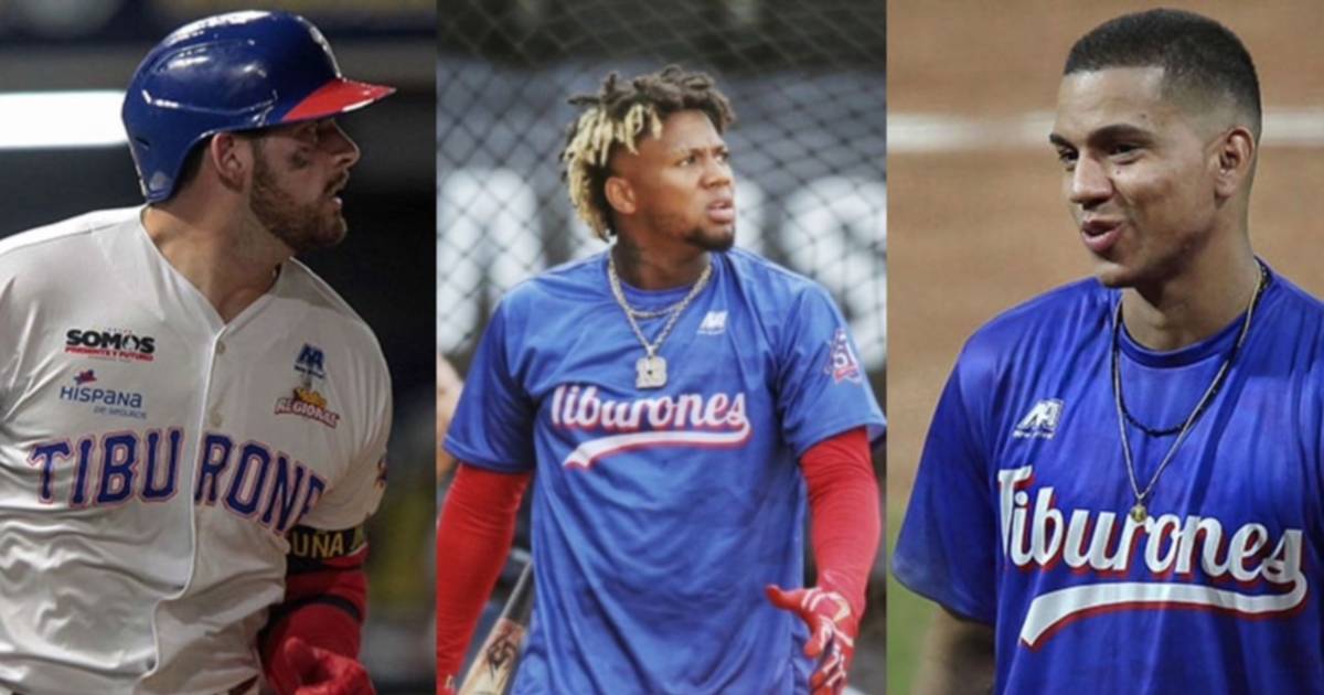 LVBP: Tiburones de La Guaira no contará con estas figuras para la temporada 2024-2025