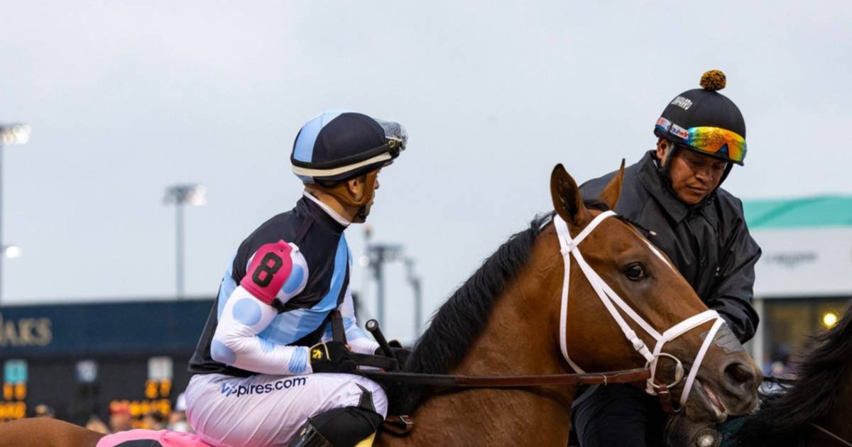 Journalism ganador del Preakness Stakes está listo para la revancha ...