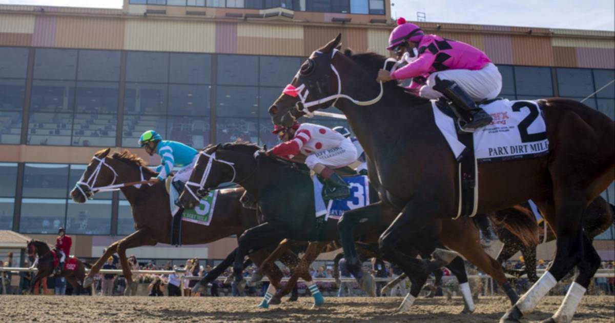 Dividendos por las nubes: Parx Racing desafió a todos los pronósticos ...