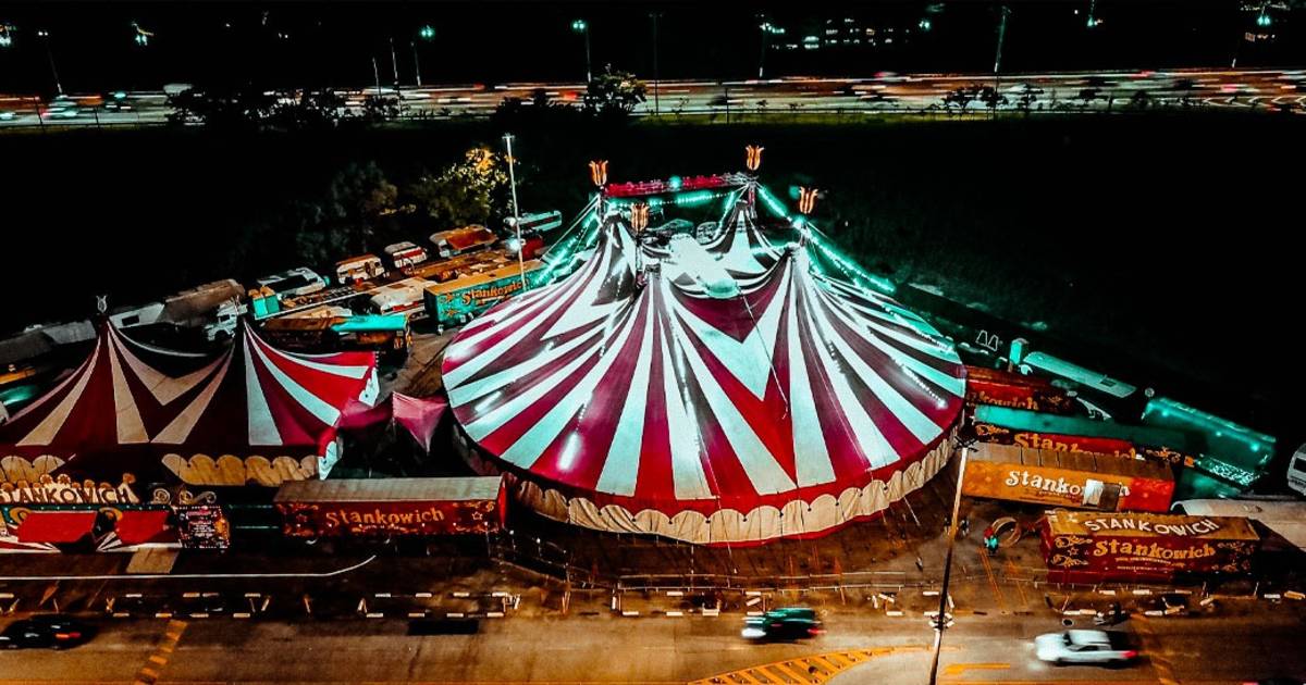 La tradición del circo mexicano: años de experiencia para un buen ...