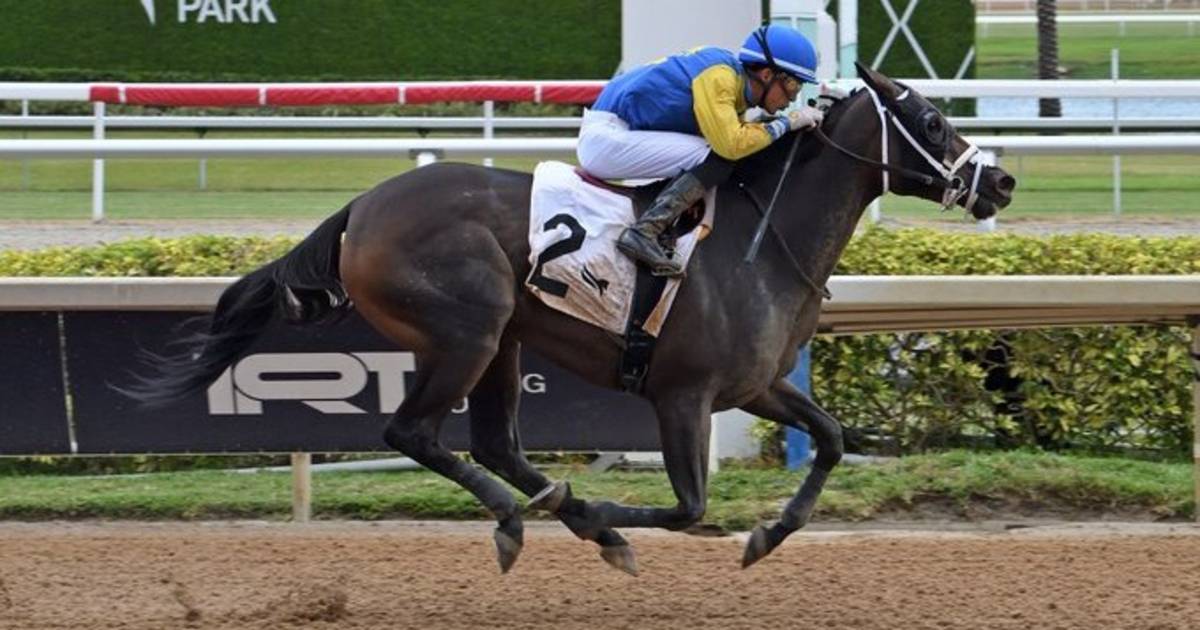 Yolber Torres brilla con doblete de victorias este domingo en ...