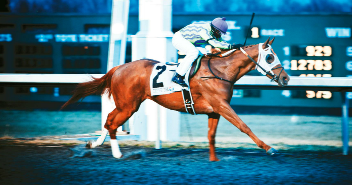 Perry Wayne Ouzts esta semana por el récord de montas de Russel Baze en ...