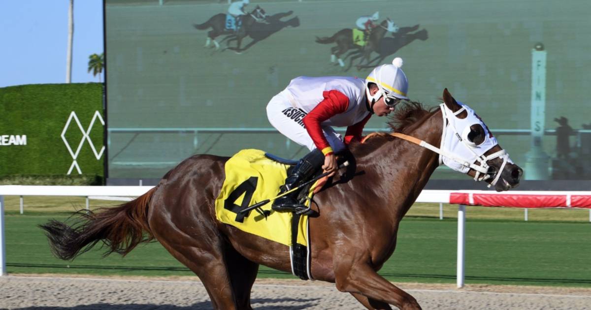 Iván Pimentel Jr. vuelve a la victoria en Estados Unidos luego de ocho ...